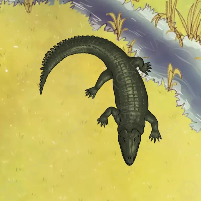 Crocodile - The Token Vault