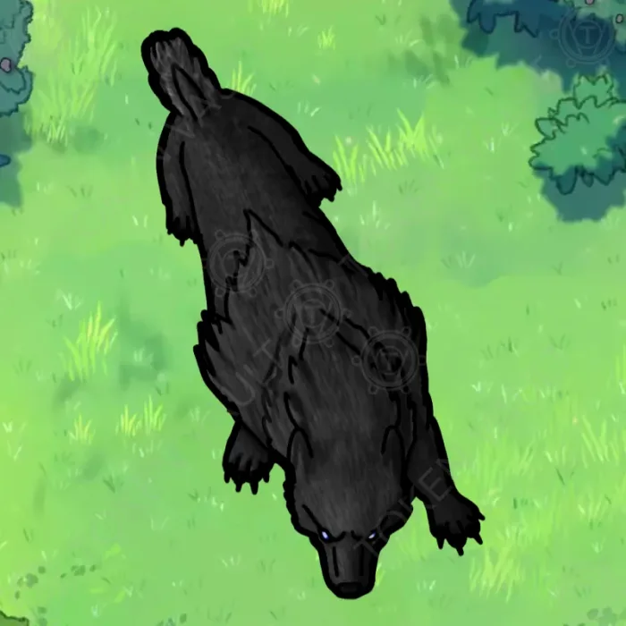 Dire Wolf - The Token Vault