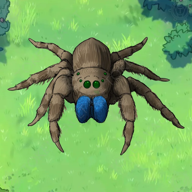 Spider (Jumping - The Token Vault