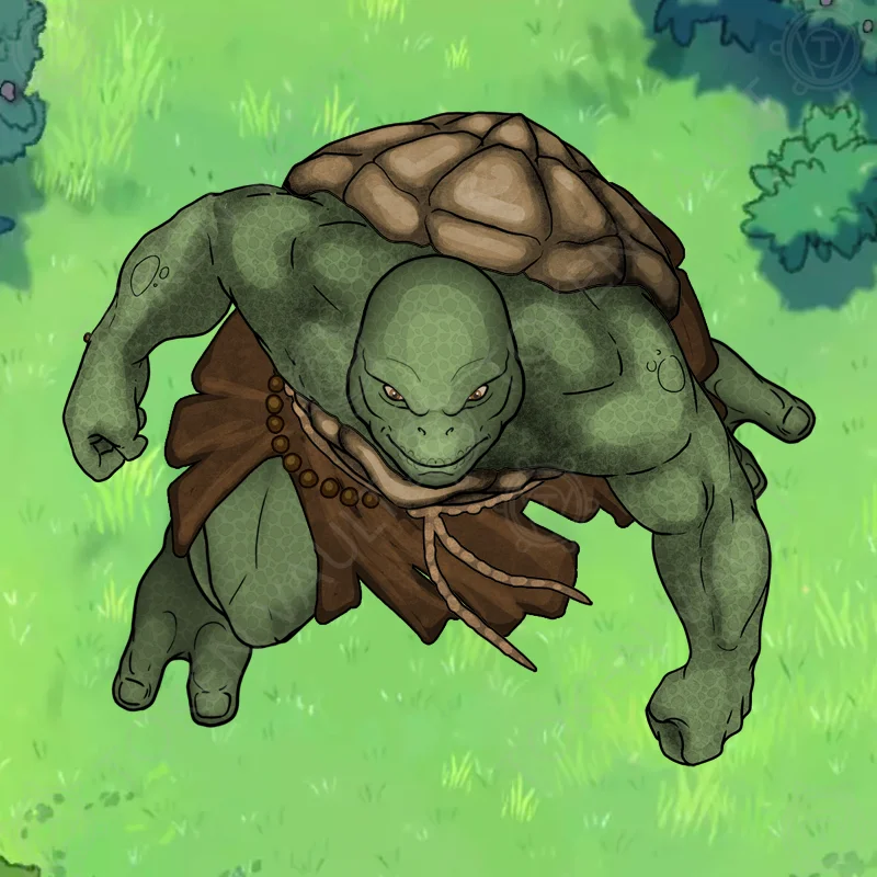Turtle Monk - The Token Vault